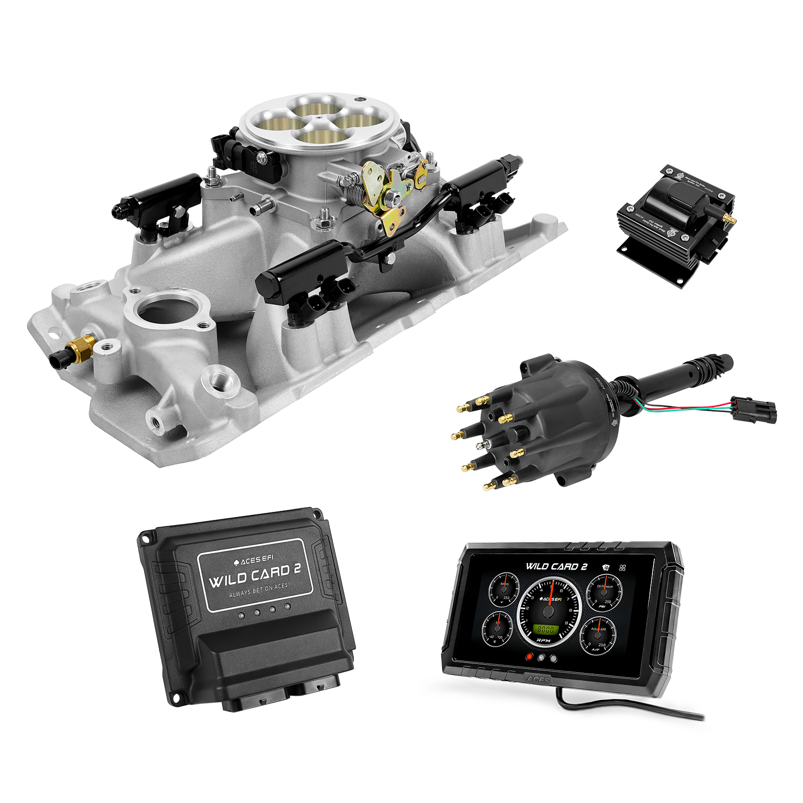 Wild Card™ EFI Multi-Port Injection, Sequential Multi-Port Injection ...